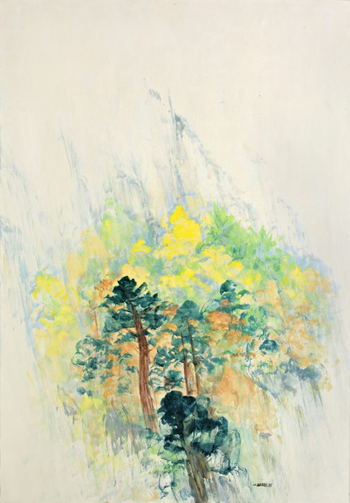 1985HST002 - NASSER ASSAR