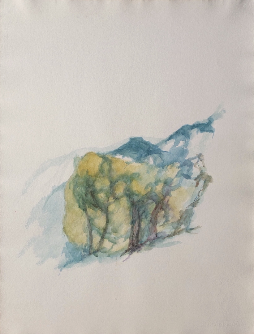 2009ASP011 - NASSER ASSAR